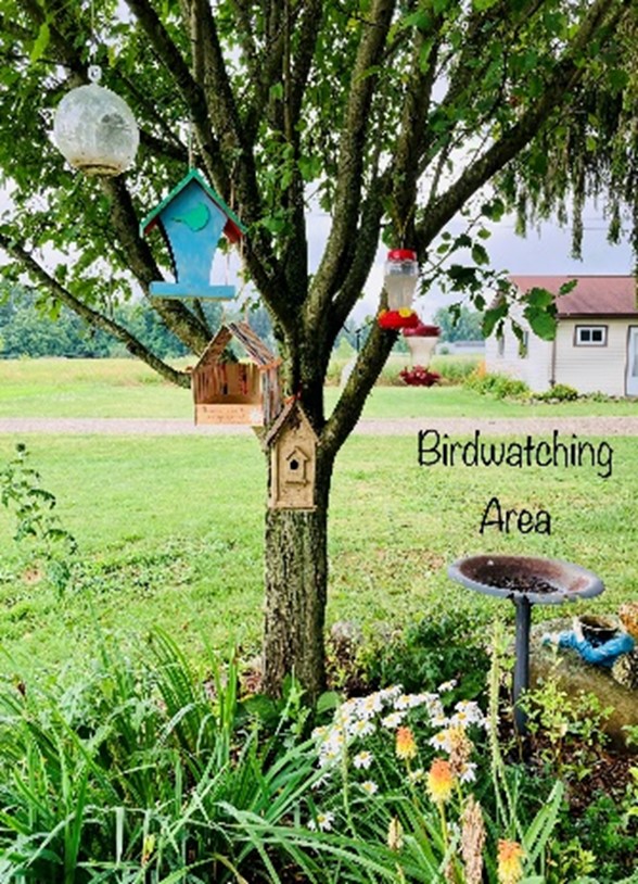 Bird Watching Area Activity – PA Promise for Children