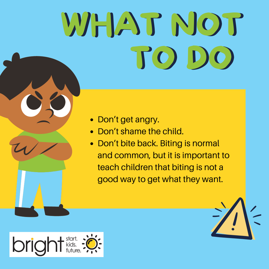 Why Toddlers Bite – PA Promise for Children