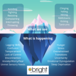 What We See Iceberg – PA Promise for Children