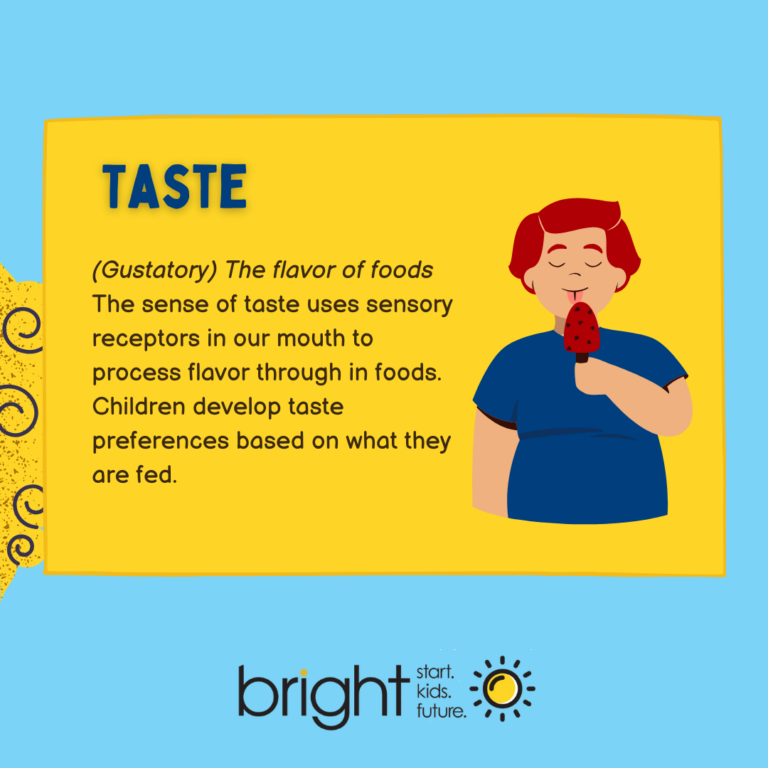 The 5 Basic Human Senses – PA Promise for Children