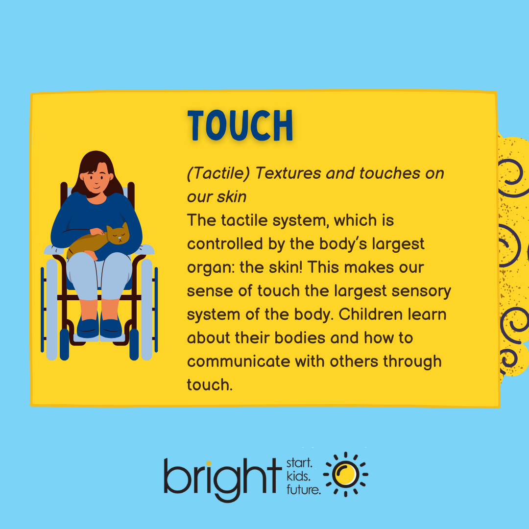 The 5 Basic Human Senses – PA Promise for Children